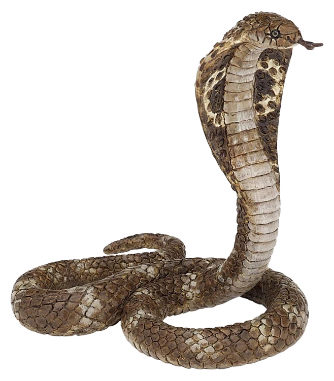 King-Cobra-PNG-Clipart-花瓣网