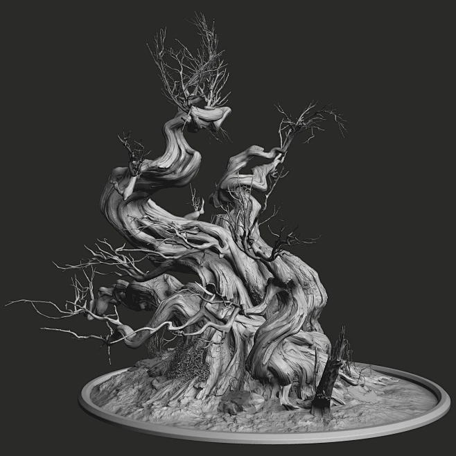 The tree of silence-花瓣网