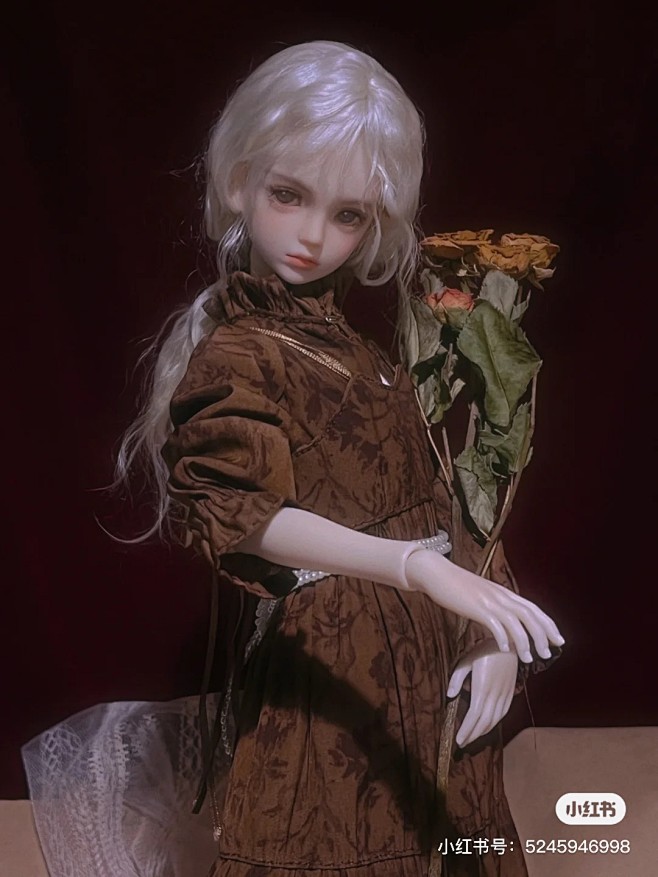 IMG_3430(20221002-113104)