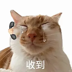 猫meme图片大全-猫meme高清好看的图片--花瓣erua的画板