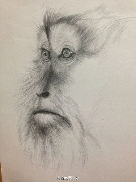 音乐无边：3D短片《Monkey Symphony》。|Monkey symphony图片_黑白图片素材-花瓣网