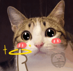 猫猫表情包_360图片-花瓣网