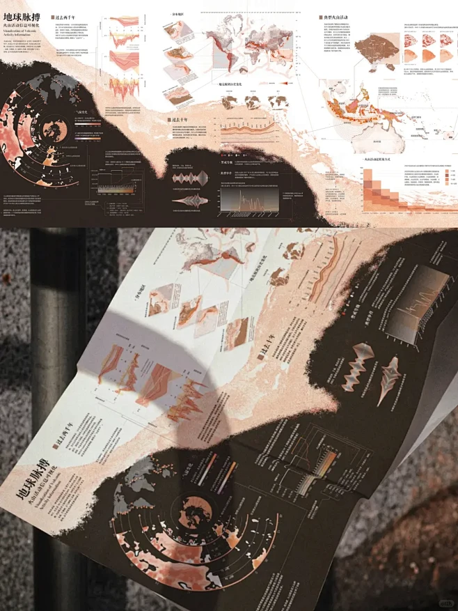 获奖作品分享|信息可视化设计 - 小红书-花瓣网