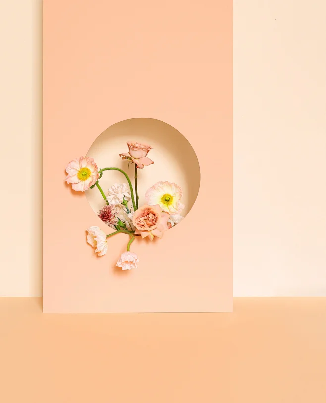 FLOWER FUN 3.jpg-花瓣网
