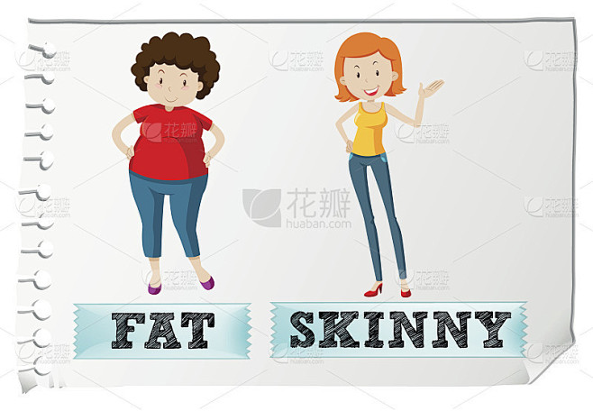 与形容词fat和skinny相反