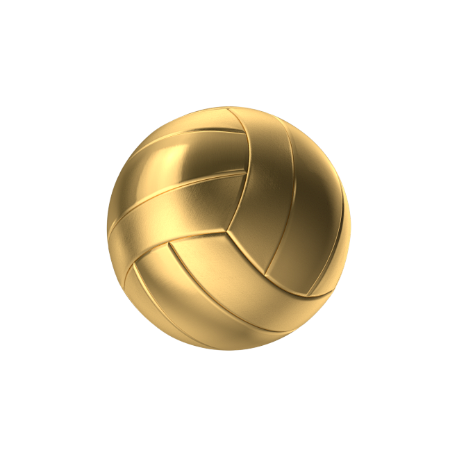Volleyball Ball Gold.L03.2k