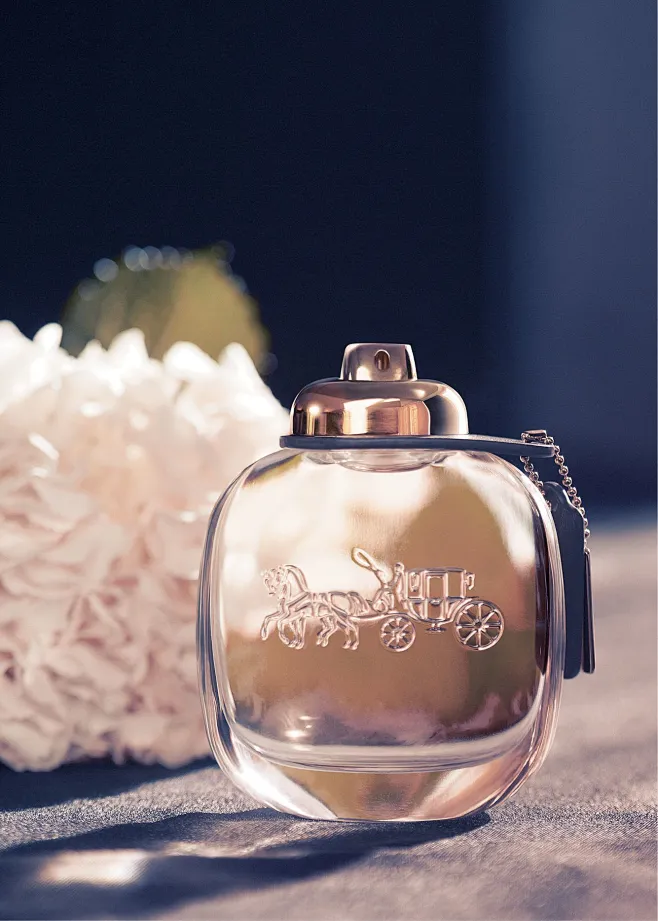 图片_面膜图片素材-花瓣网