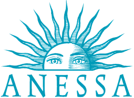 logo_anessa.svg-花瓣网