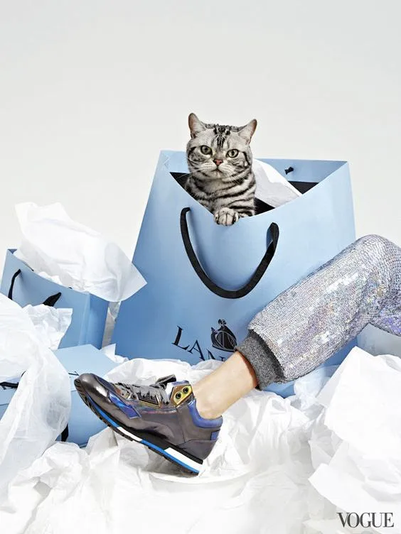 The Cat and the Flat editorial styled by Jorden Bickham and ...