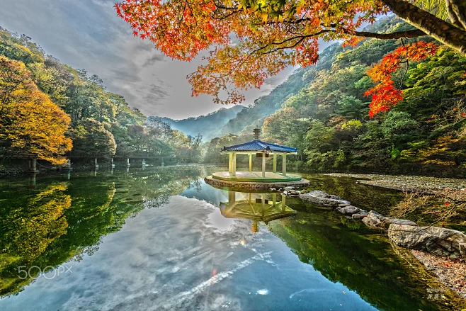 Flow / 500px-花瓣网