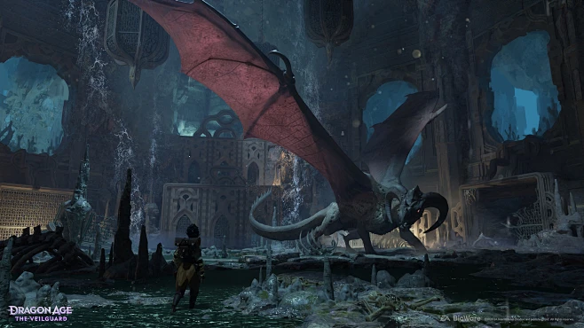 Dragon arena-花瓣网