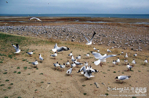 旅游,在青海湖边被孩子们“啐”了一口, 珏战旅游攻略