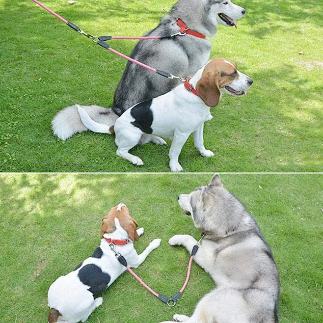 KingSaid 10 x 25mm Heavy Duty Square Eye Snap Swivel Trigger Hooks ...