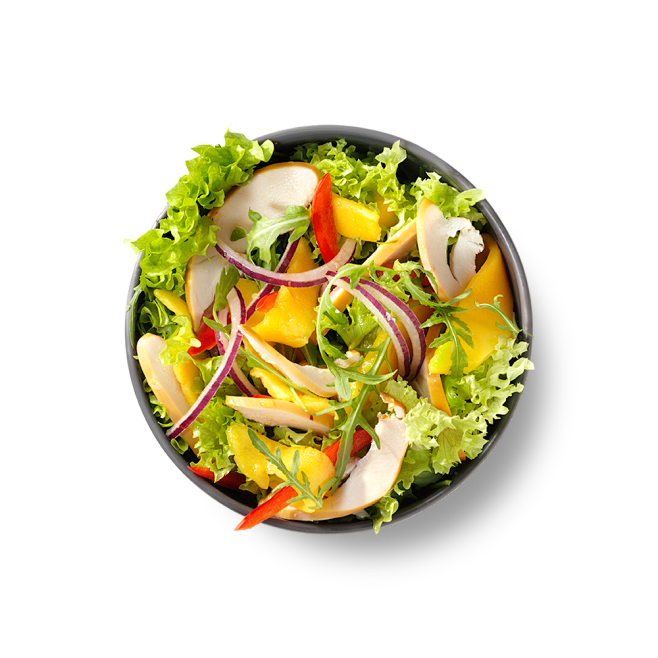 pngegg (1)-花瓣网