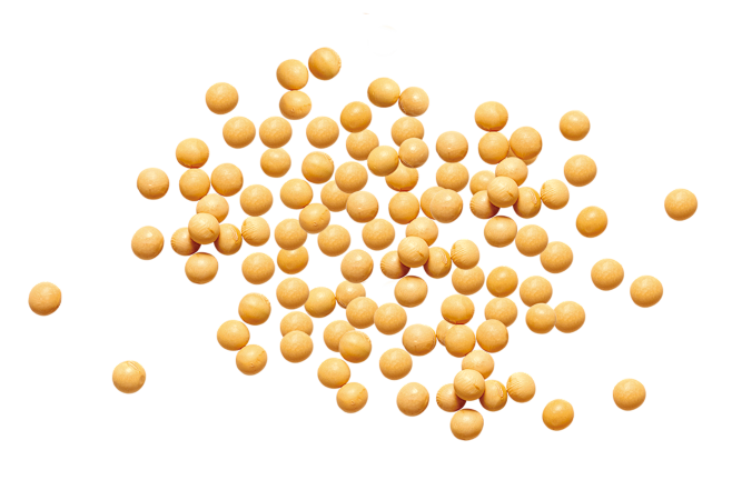 hd2