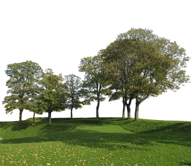 trees-group-4_1080x-花瓣网