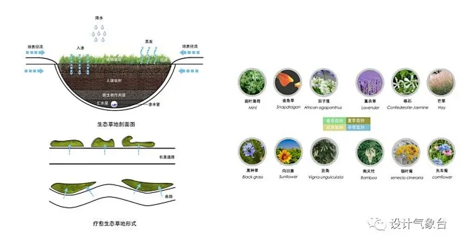 640 (1000×529)-花瓣网