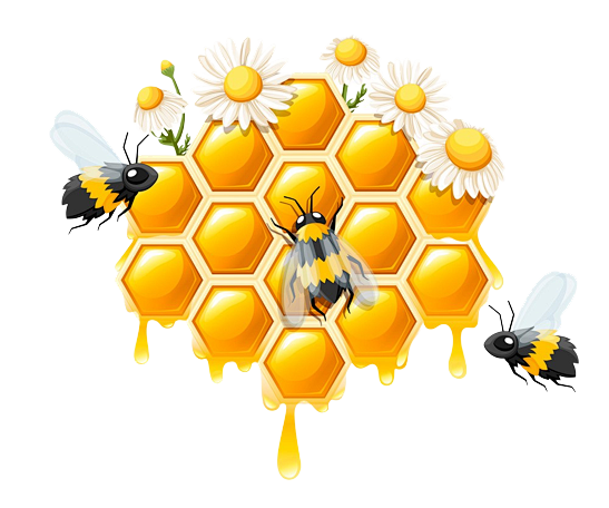 1050050088784625677-removebg-preview