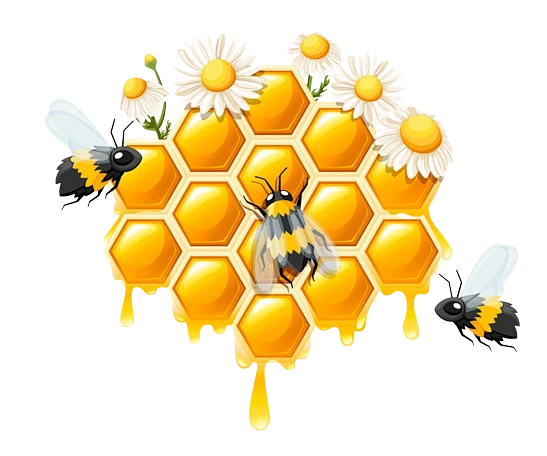 1050050088784625677-removebg-preview-花瓣网