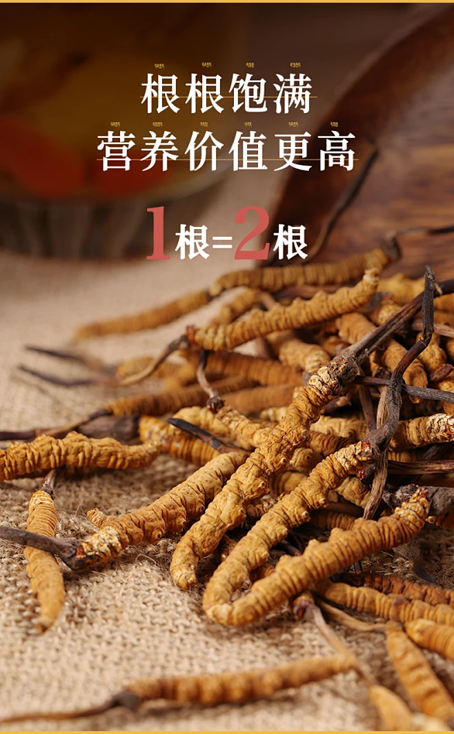 西藏那曲特产正宗冬虫夏草正品虫草干货10克装头期礼盒50根礼品-tmall.com天猫-花瓣网