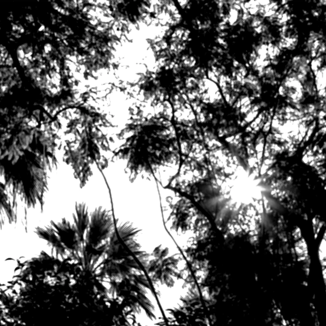 Gobo Nature (CGHacks)-08-花瓣网