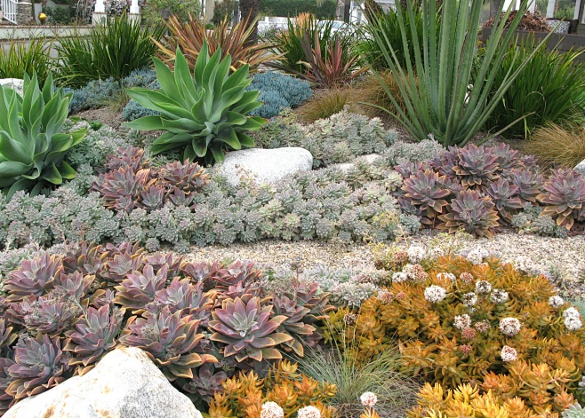 This is an example of a contemporary landscaping in San Diego.-花瓣网