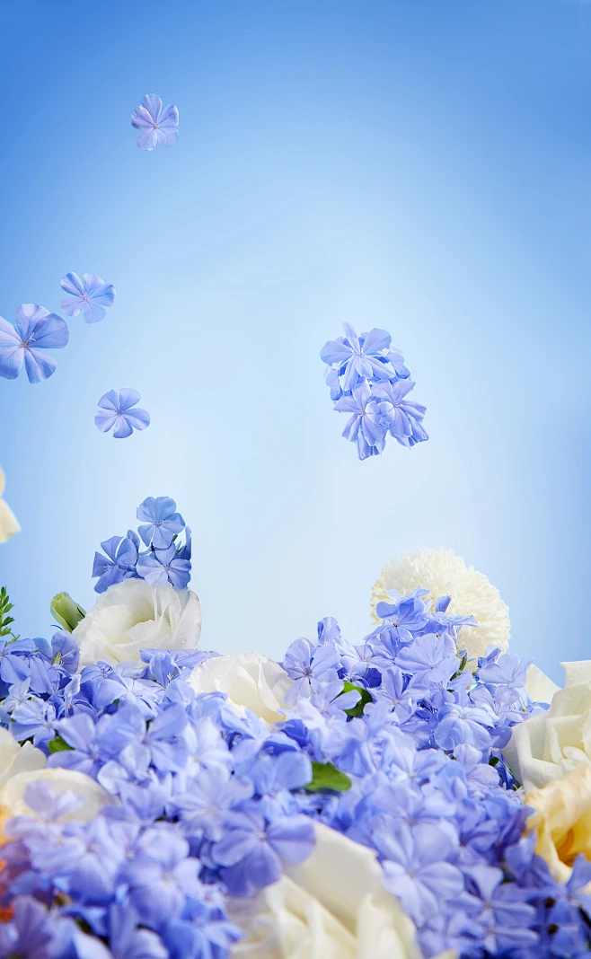 花瓣灵感详情页-花瓣网