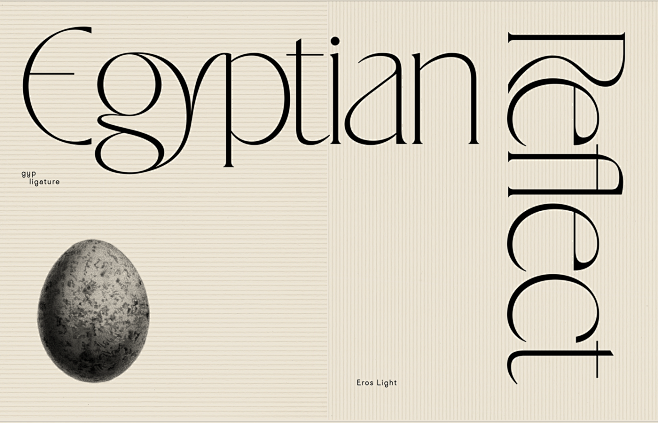 bird eros font fonts graphic design ILLUSTRATION typography Violaine ...