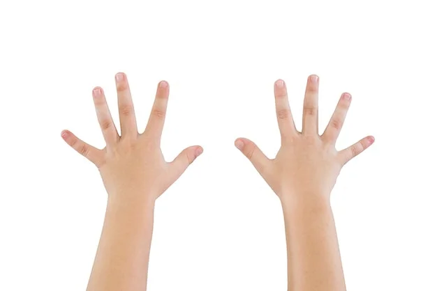 Childrens hands show ten fingers isolated on white background. children ...