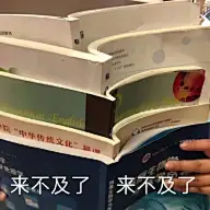 比格多栋表情包|wer？werwerwerwer！werwerwer！！！-花瓣网