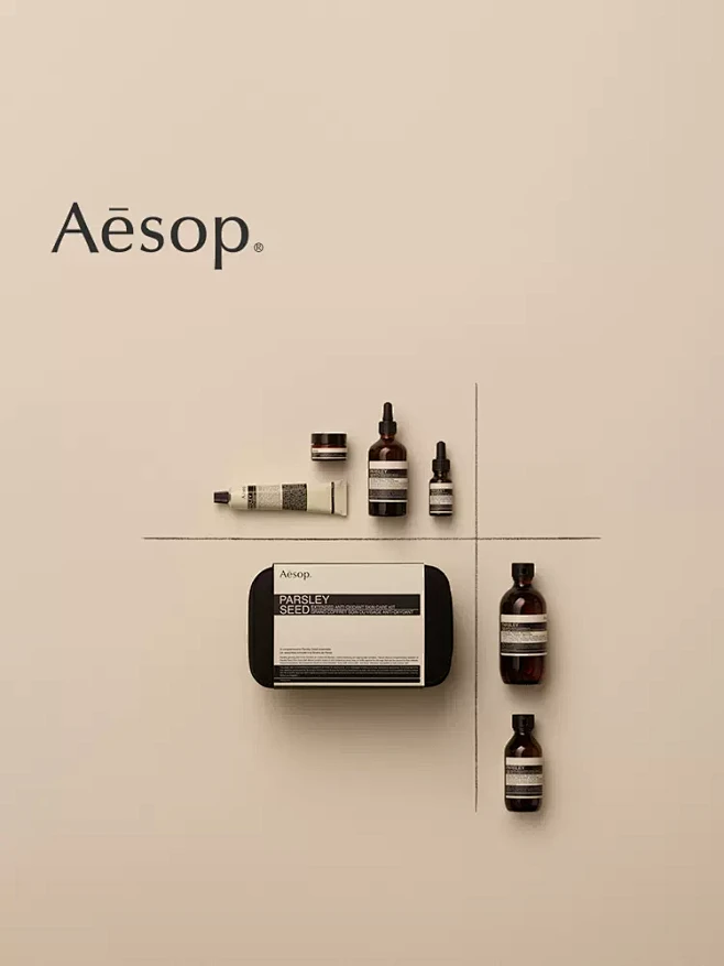 【立即选购】Aesop伊索 香芹籽抗氧化护肤套装 六件套-tmall.com天猫-花瓣网