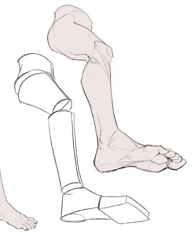 #人体结构#-花瓣网