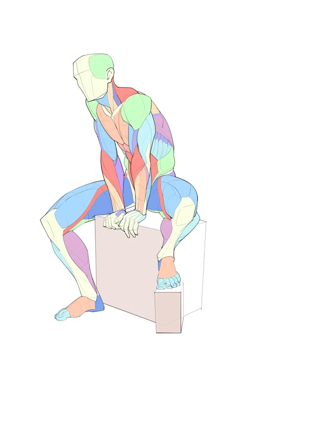 跟新一组男性肌肉结构和动态绘画素材