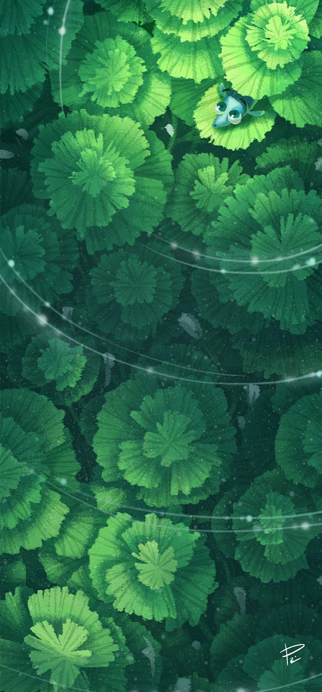 little fish-花瓣网