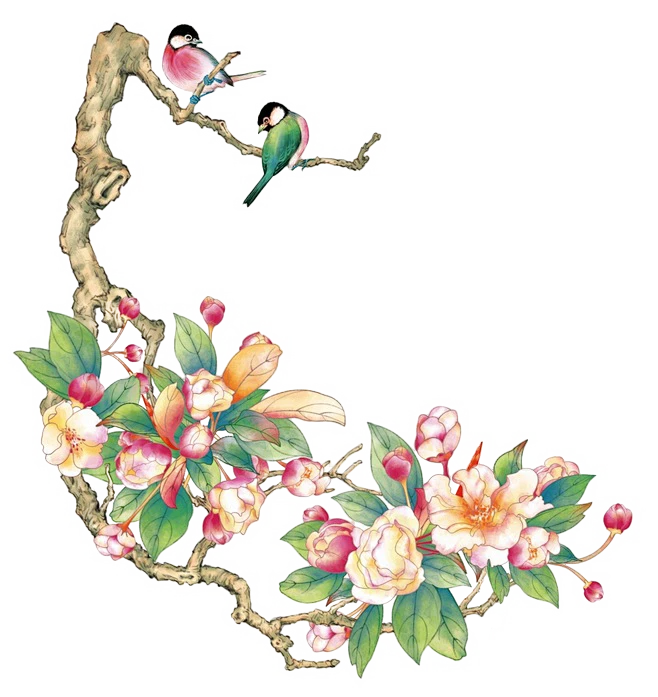 hn1-花瓣网