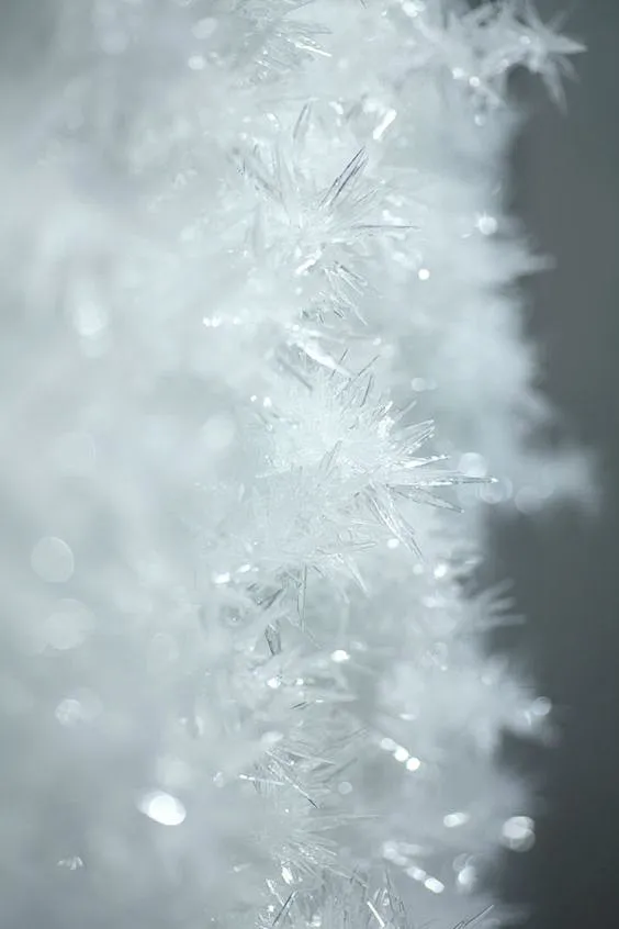 (102) Pinterest-花瓣网