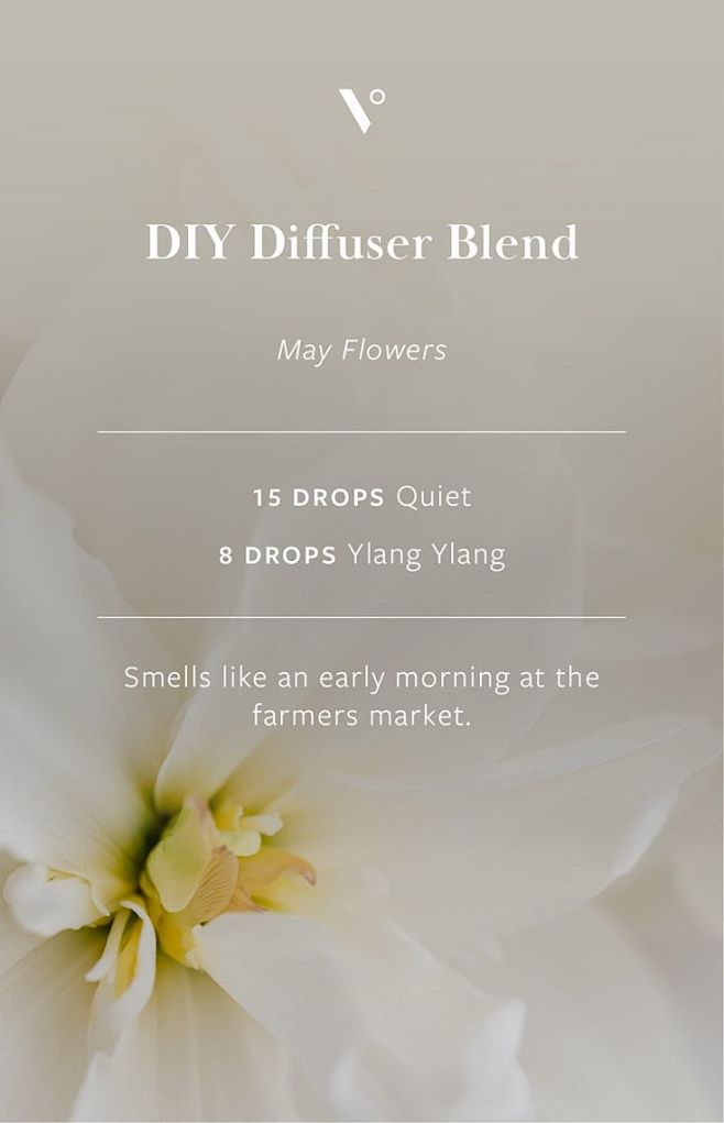 DIY Diffuser Blend Recipe