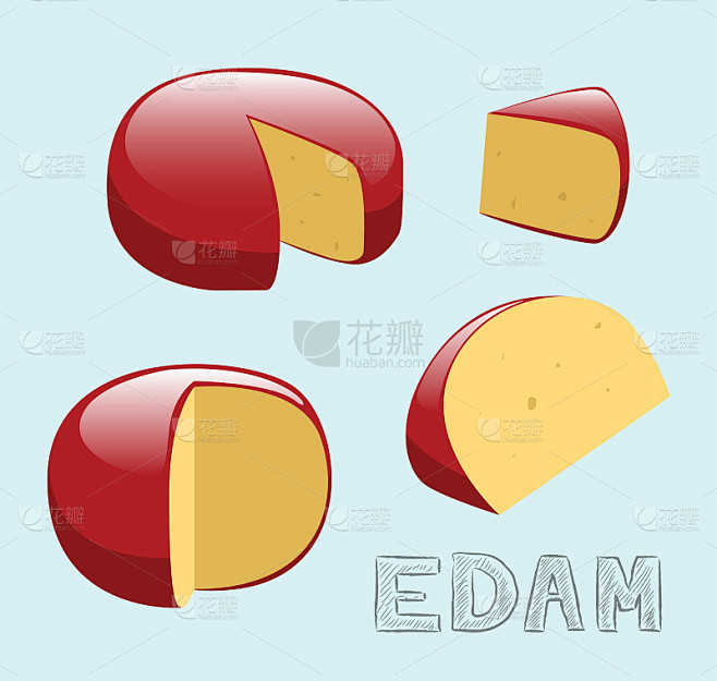 Food Cheese Type Edam Vector Illustration