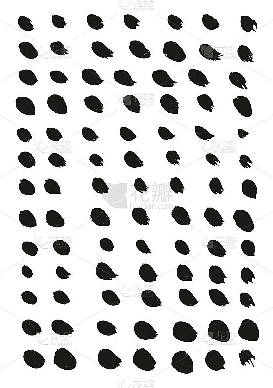 Calligraphy Paint Thin Brush Lines High Detail Abs