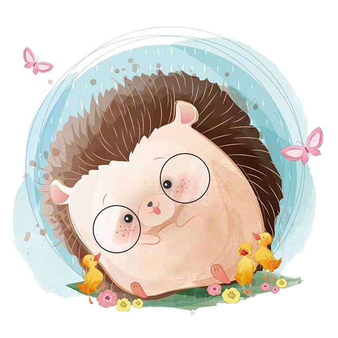 小刺猬插画