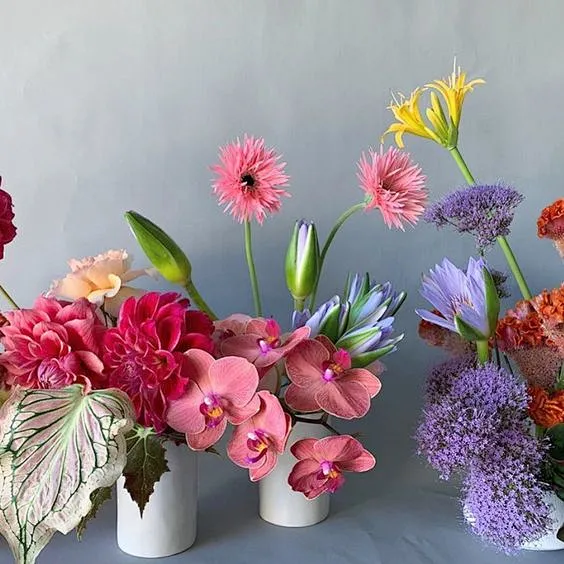 (244) Pinterest-花瓣网