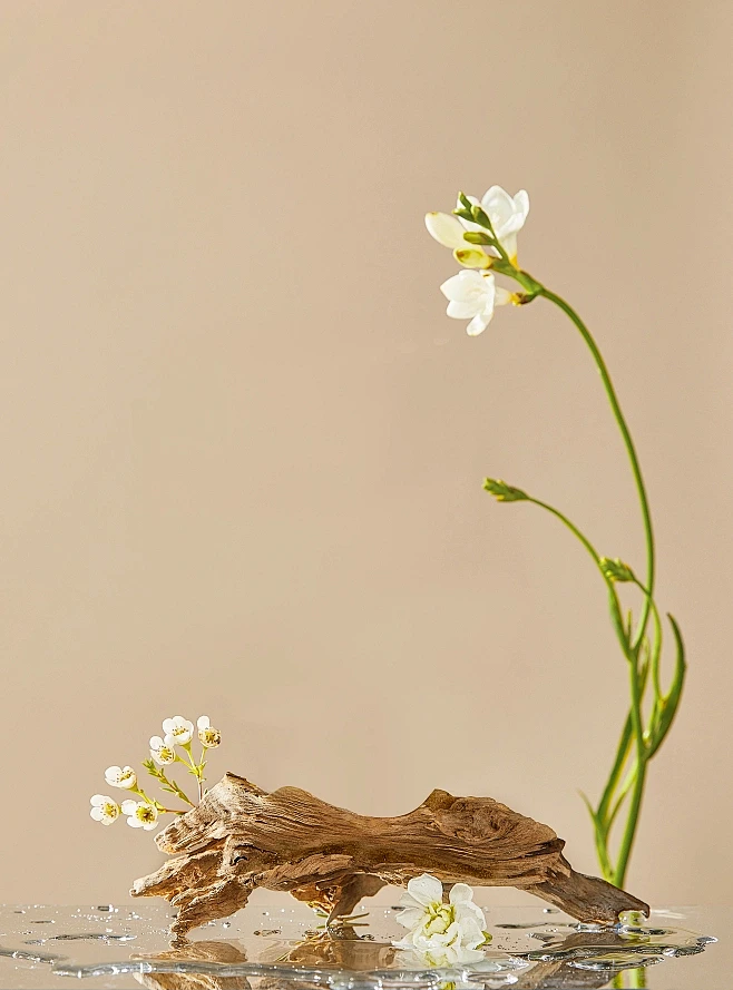 85f4e784022487e96902fff4df295a1ffb5b1fe76bc8e6-w5aGFN_fw658webp-花瓣网