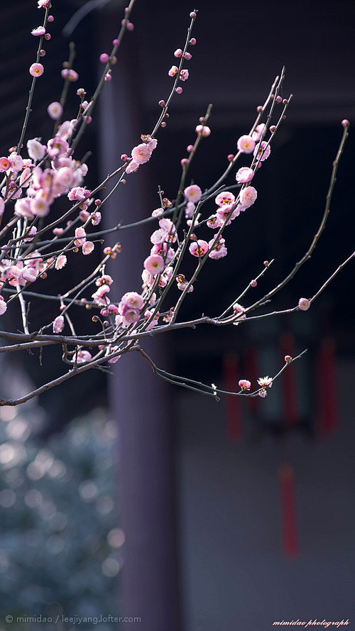 [15] LOFTER（乐乎） - 记录生活，发现同好