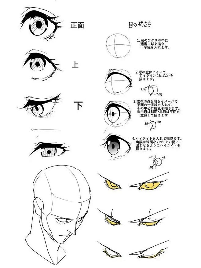 不同角度的眼睛画法-花瓣网