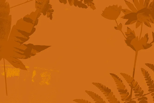 Bowles & Wyer — Carter Wong Design-花瓣网