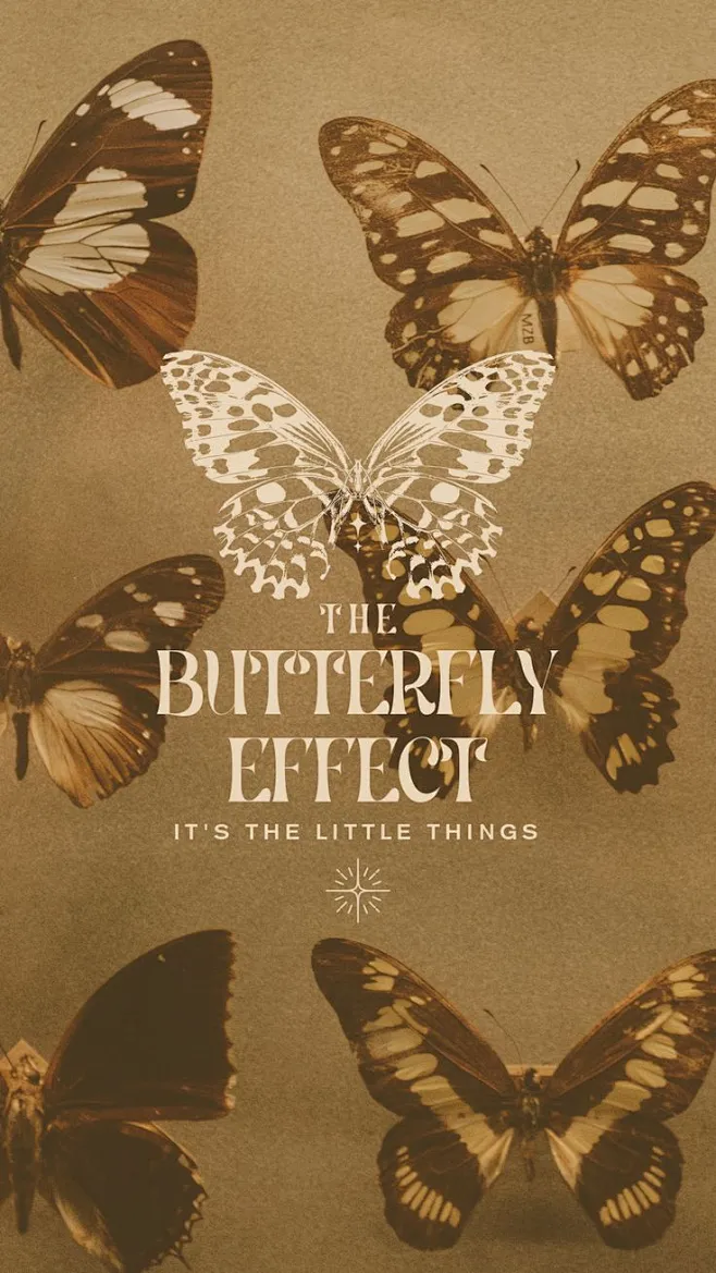 The Butterfly Effect – Butterfly Branding Logo Design-花瓣网