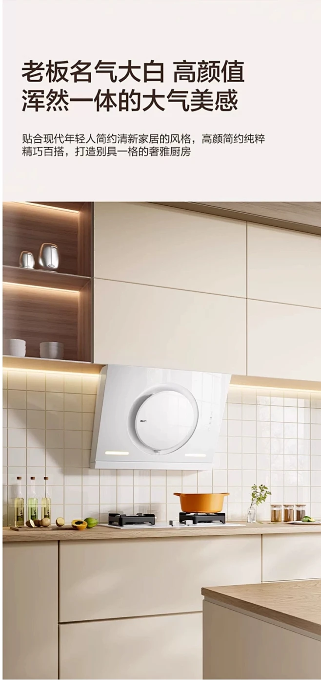 老板油烟机名气白色抽油烟机家用厨房吸烟机大吸力白月光3583-tmall.com天猫-花瓣网