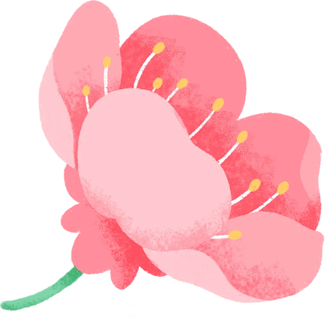 canva-%E5%A6%87%E5%A5%B3%E8%8A%82%E5%A5%B3%E6%80%A7%E6%9D%90%E8%B4%A8 ...