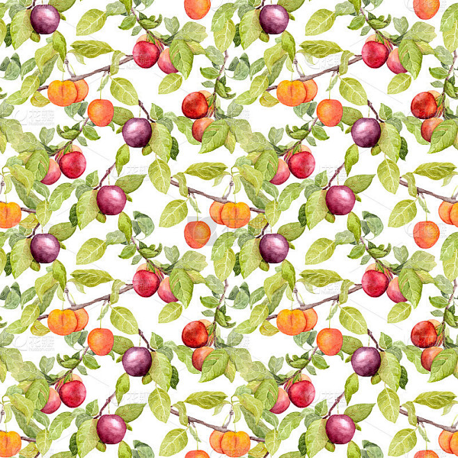 水果-花园里有李子，樱桃，苹果。无缝壁纸。水彩