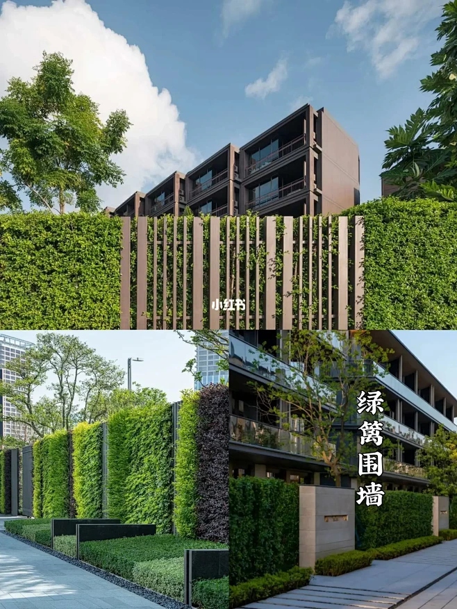 ㊙️如何打造与众不同的围墙呢？赶紧码住 花瓣网